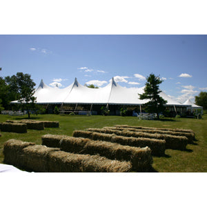 Tent 40' x 100' Pole - Greeneville, TN - Grand True Value Rental of ...